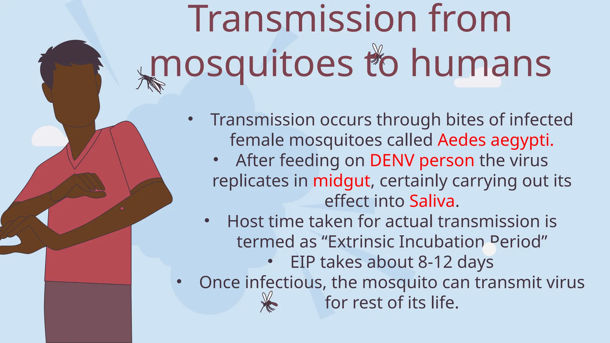 Dengue- Social preventive pharmacy .pptx