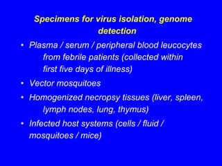 Dengue- WS on vector borne viral infection 2011 | PPT