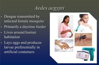 dengue (1).pptx