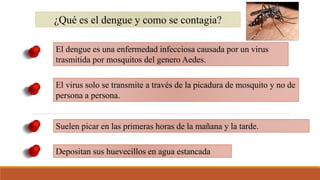 Dengue puntos basicos de prevencion en el area de la salud | PPTX