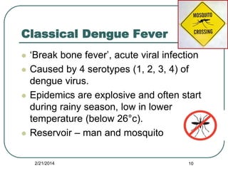 Dengue 1234 | PPTX