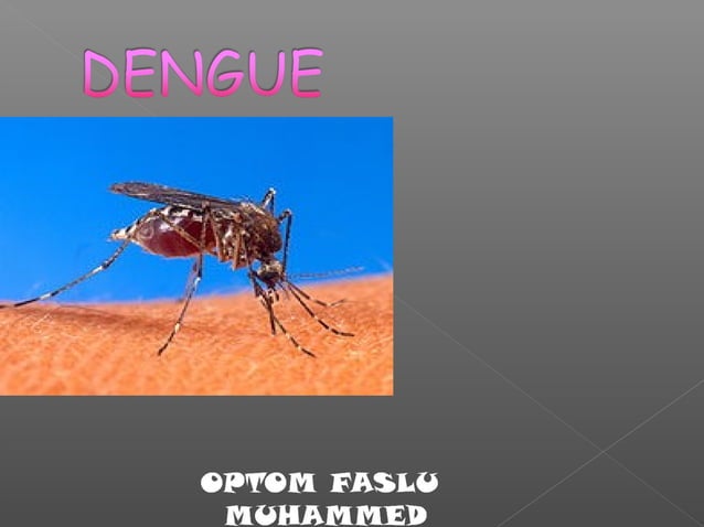 Dengue | PPT