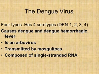 dengue_4.ppt