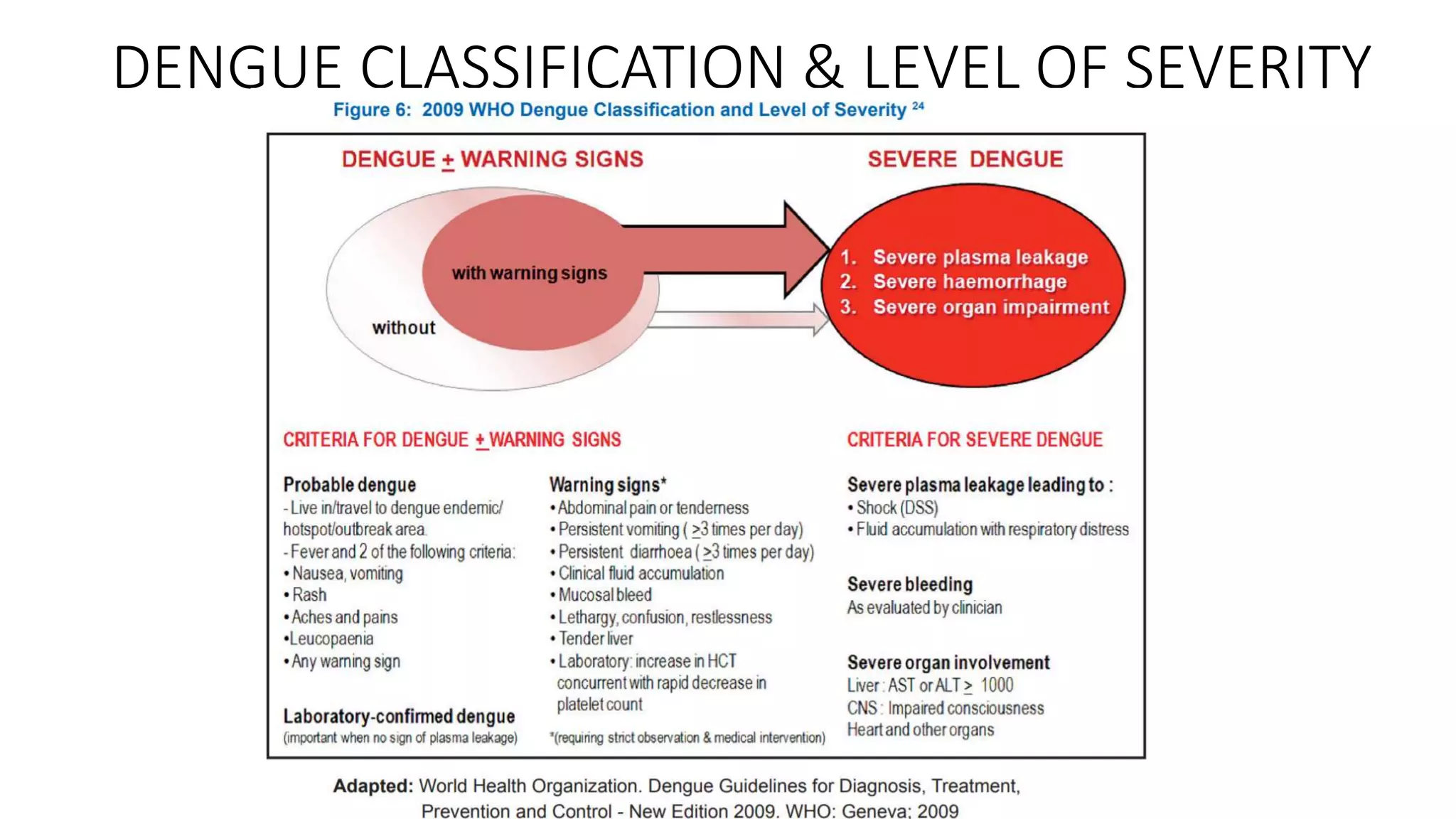 Dengue Assignment.pptx
