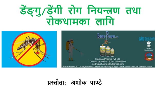 Dengue Awareness | PPT