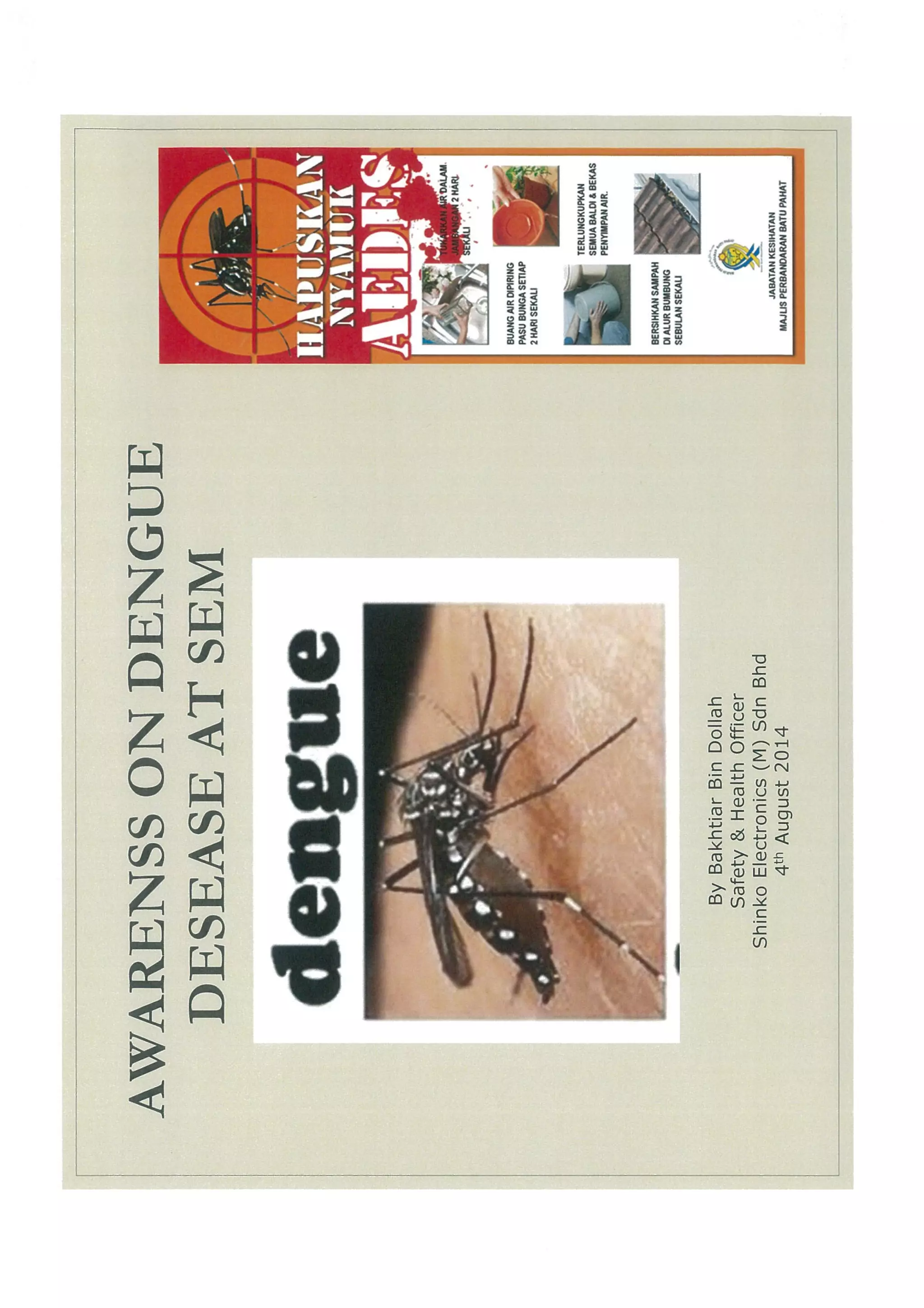Dengue awareness campaign | PDF