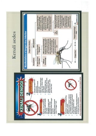 Dengue awareness campaign | PDF
