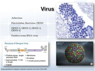 Dengue az | PPTX
