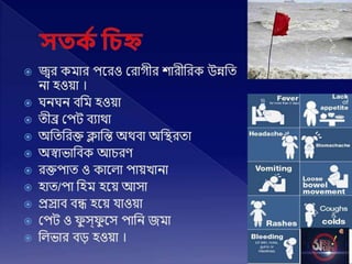 Dengue Fever awareness in Bangla | PPTX