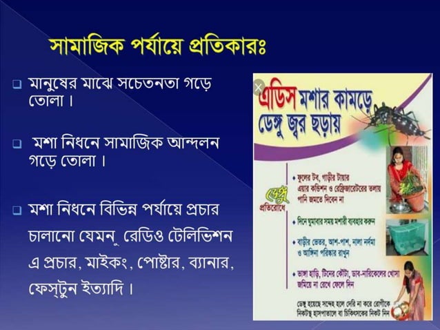 Dengue Fever awareness in Bangla | PPTX