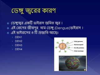 Dengue Fever awareness in Bangla | PPTX