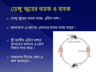 Dengue Fever awareness in Bangla | PPTX