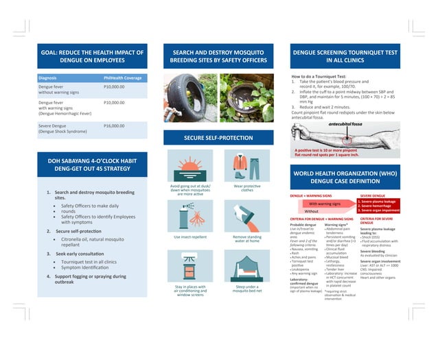 Dengue Brochure.pdf | Infectious Diseases | Diseases and Conditions