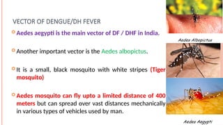 Dengue & chikungunea prevention.ppt .pptx