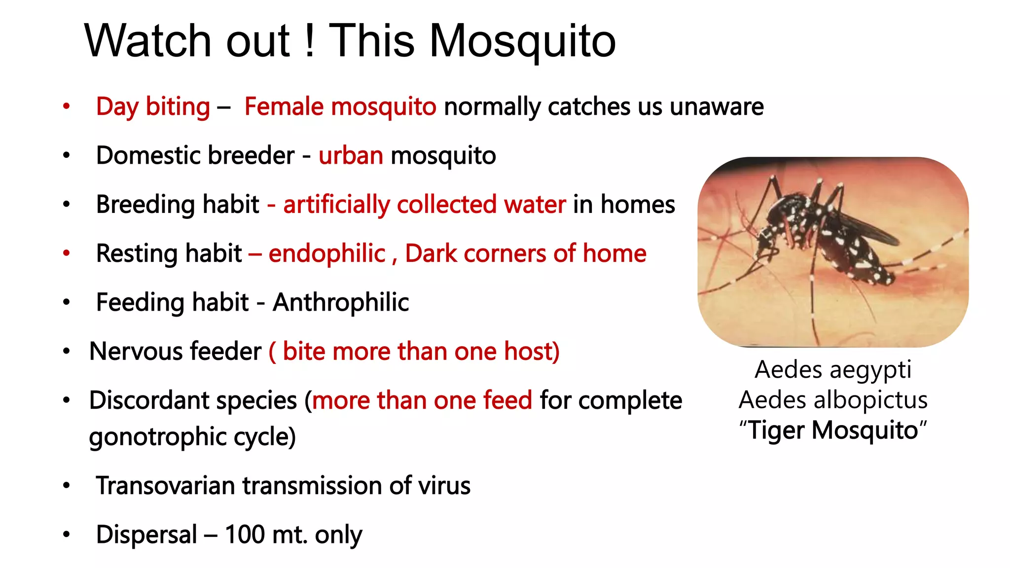 Dengue control programme kma 7 oct. copy | PPTX