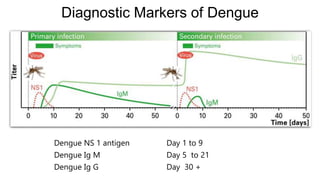 Dengue control programme kma 7 oct. copy | PPTX