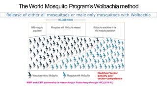 Dengue control programme kma 7 oct. copy | PPTX