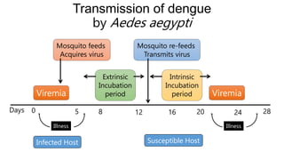 Dengue control programme kma 7 oct. copy | PPTX