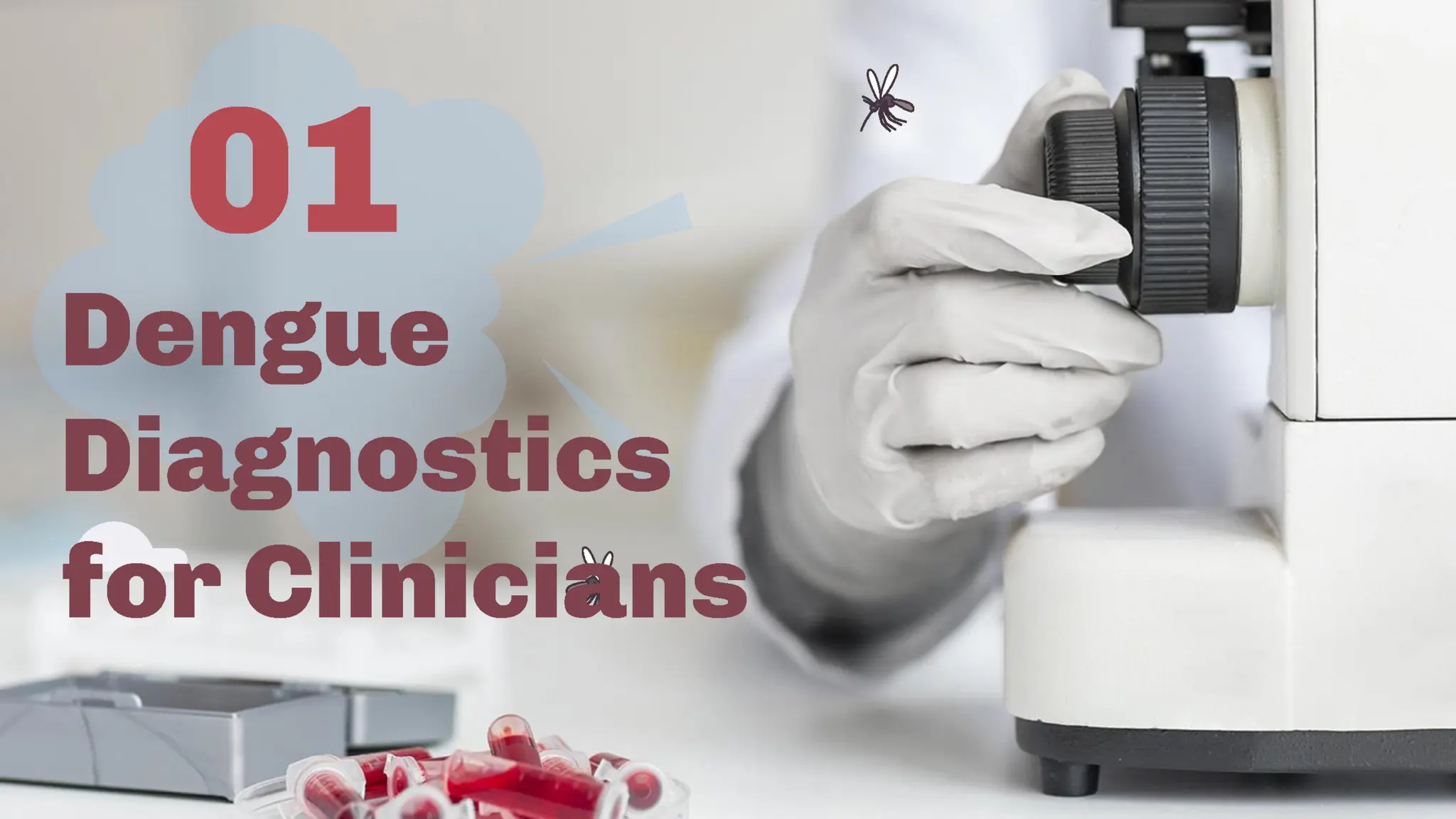 Dengue Clinical Practice Guidelines ppt.pdf