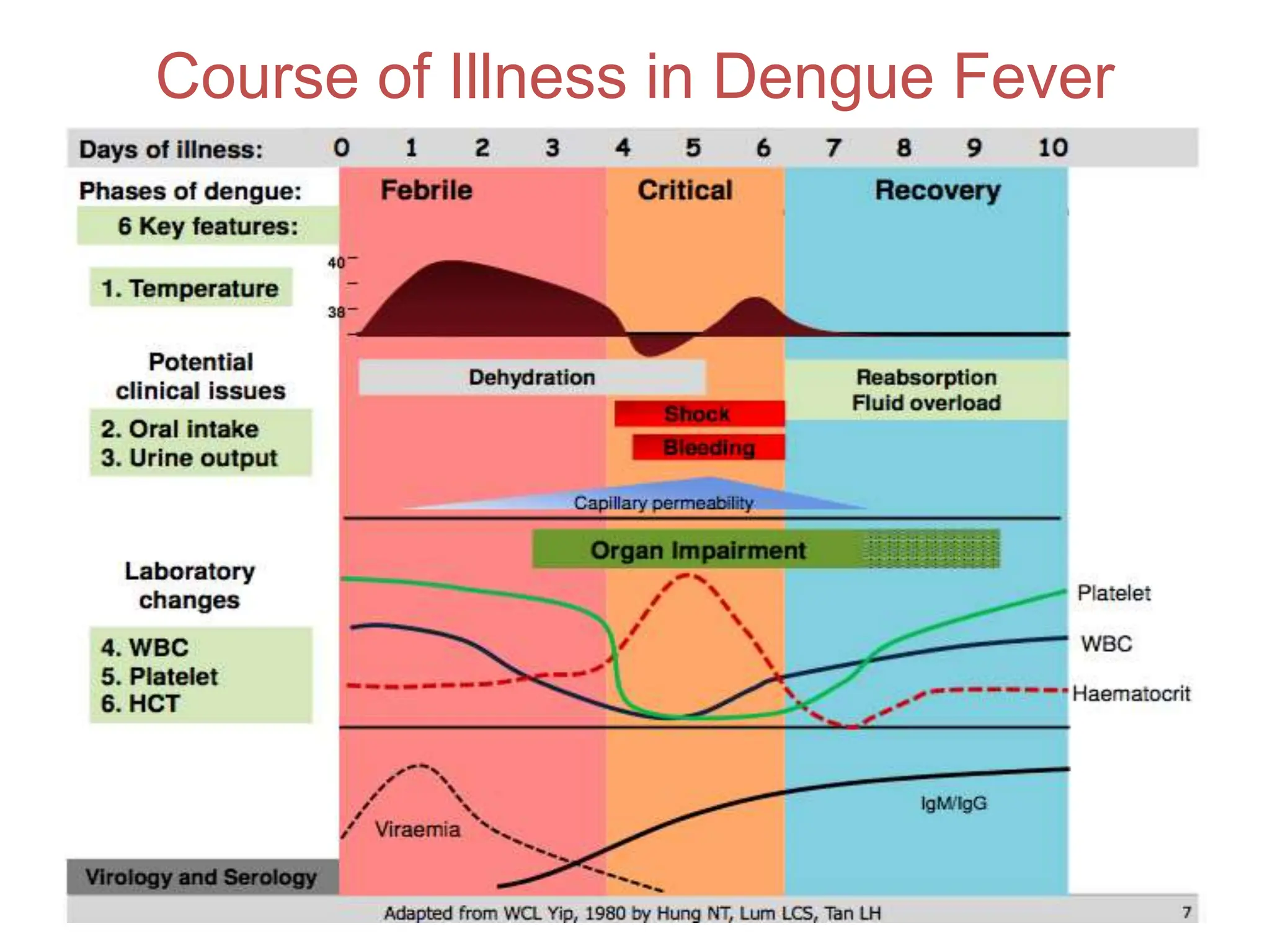 Dengue dalam masa pandemi- prof sri.pptx