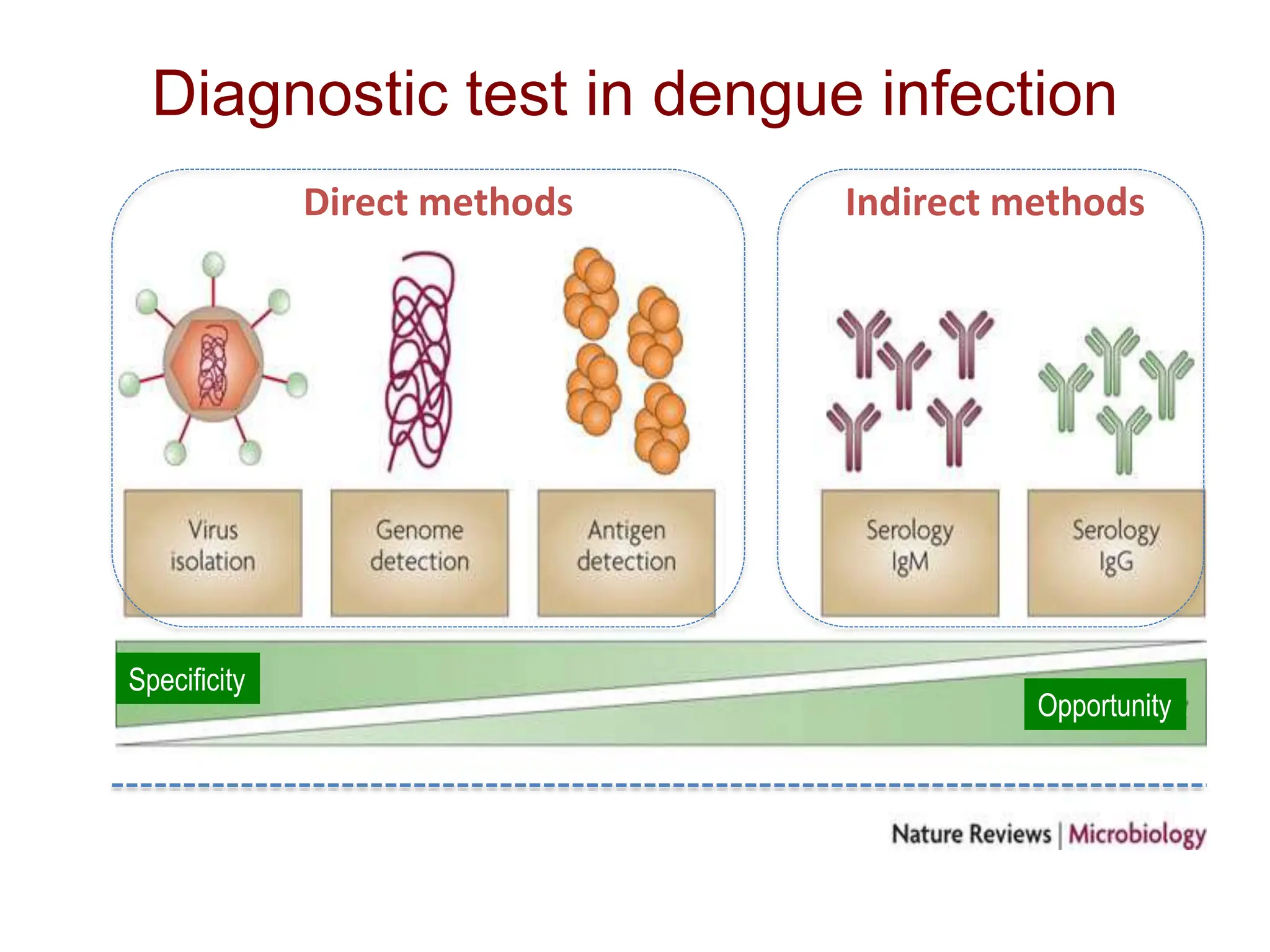 Dengue dalam masa pandemi- prof sri.pptx
