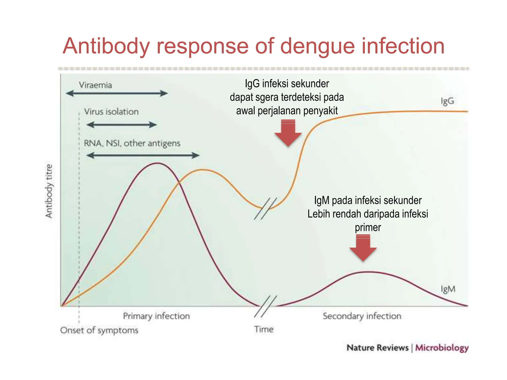 Dengue dalam masa pandemi- prof sri.pptx