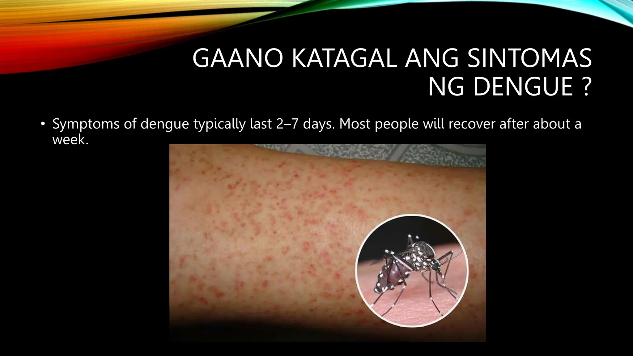 Dengue day awareness to the community third world country | PPT