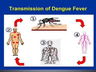 Dengue | PPTX