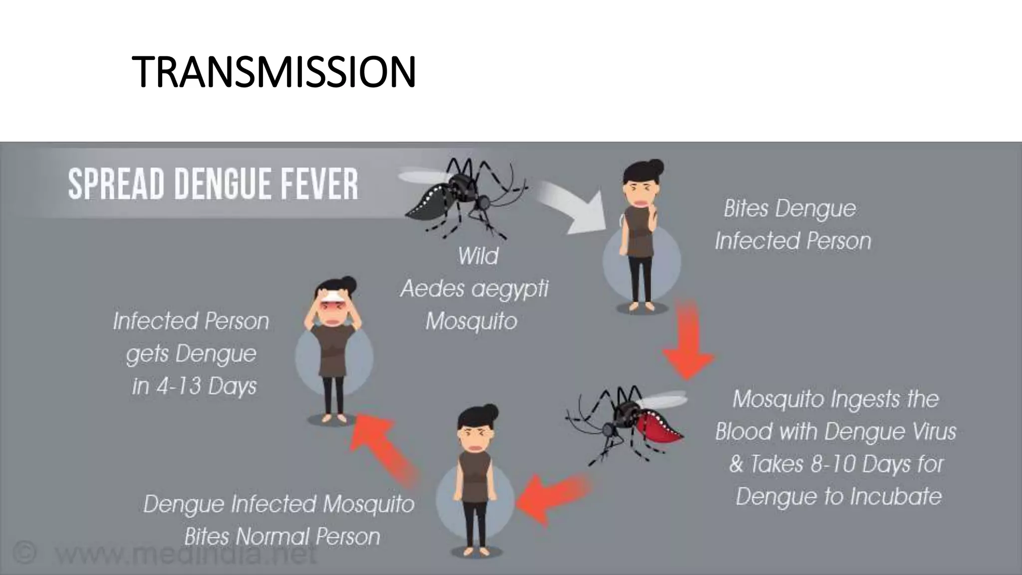 Dengue, dengue hemorrhagic fever, dengue shock syndrome | PPTX