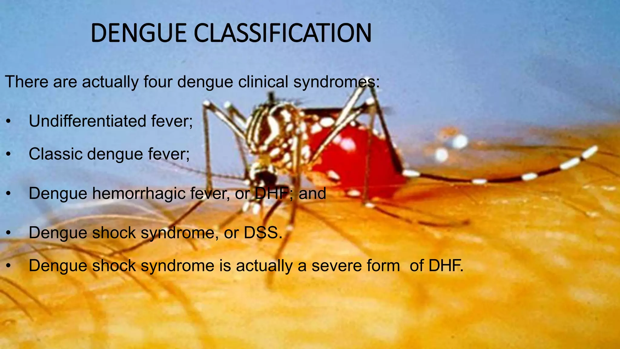 Dengue, dengue hemorrhagic fever, dengue shock syndrome | PPTX