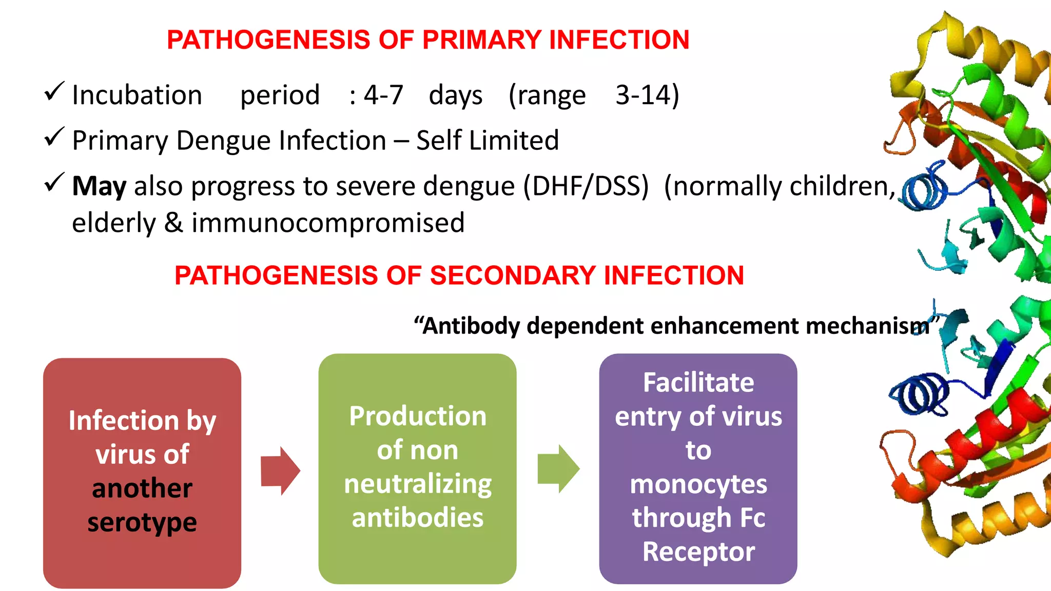 Dengue, dengue hemorrhagic fever, dengue shock syndrome | PPTX
