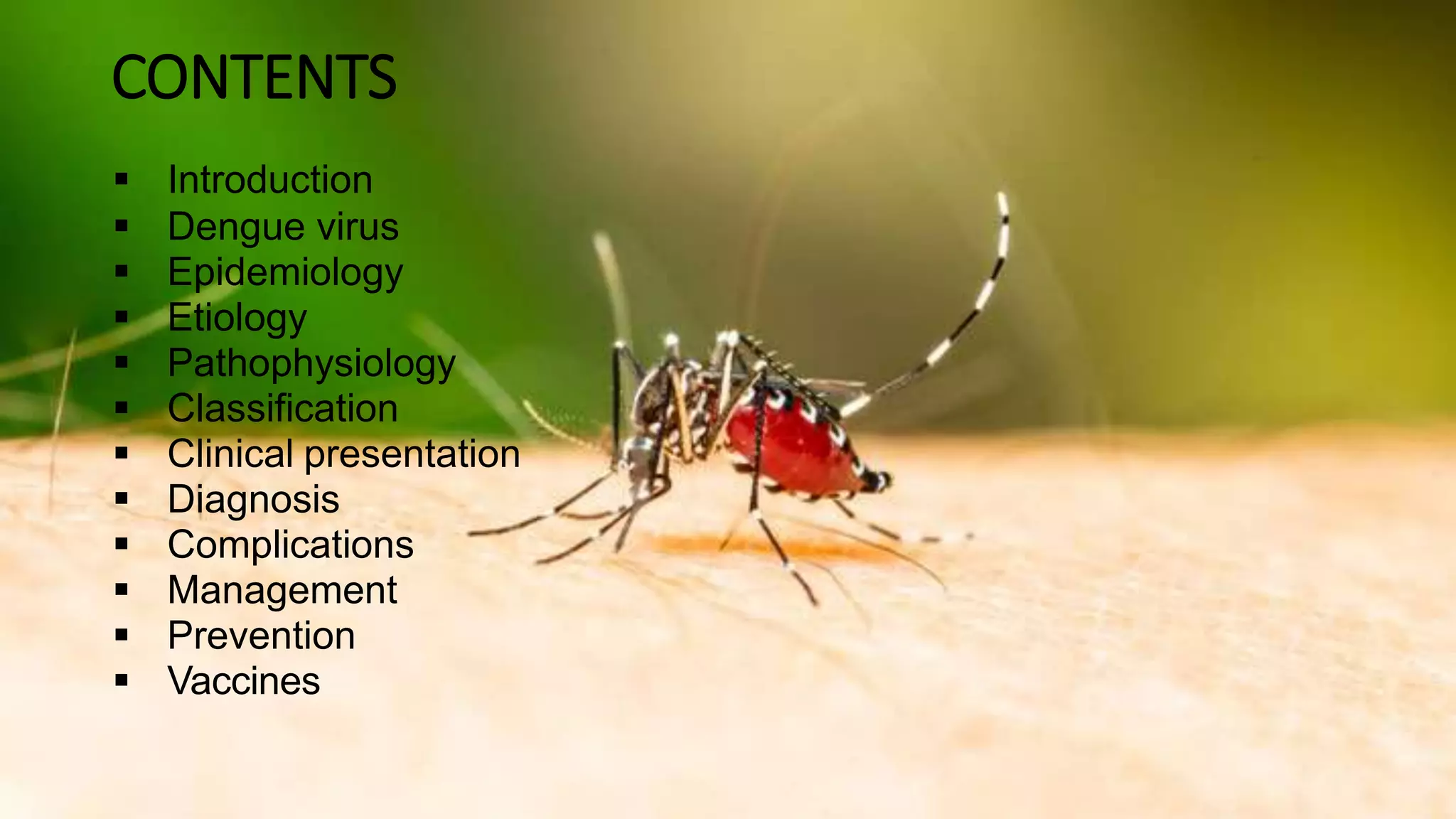 Dengue, dengue hemorrhagic fever, dengue shock syndrome | PPTX