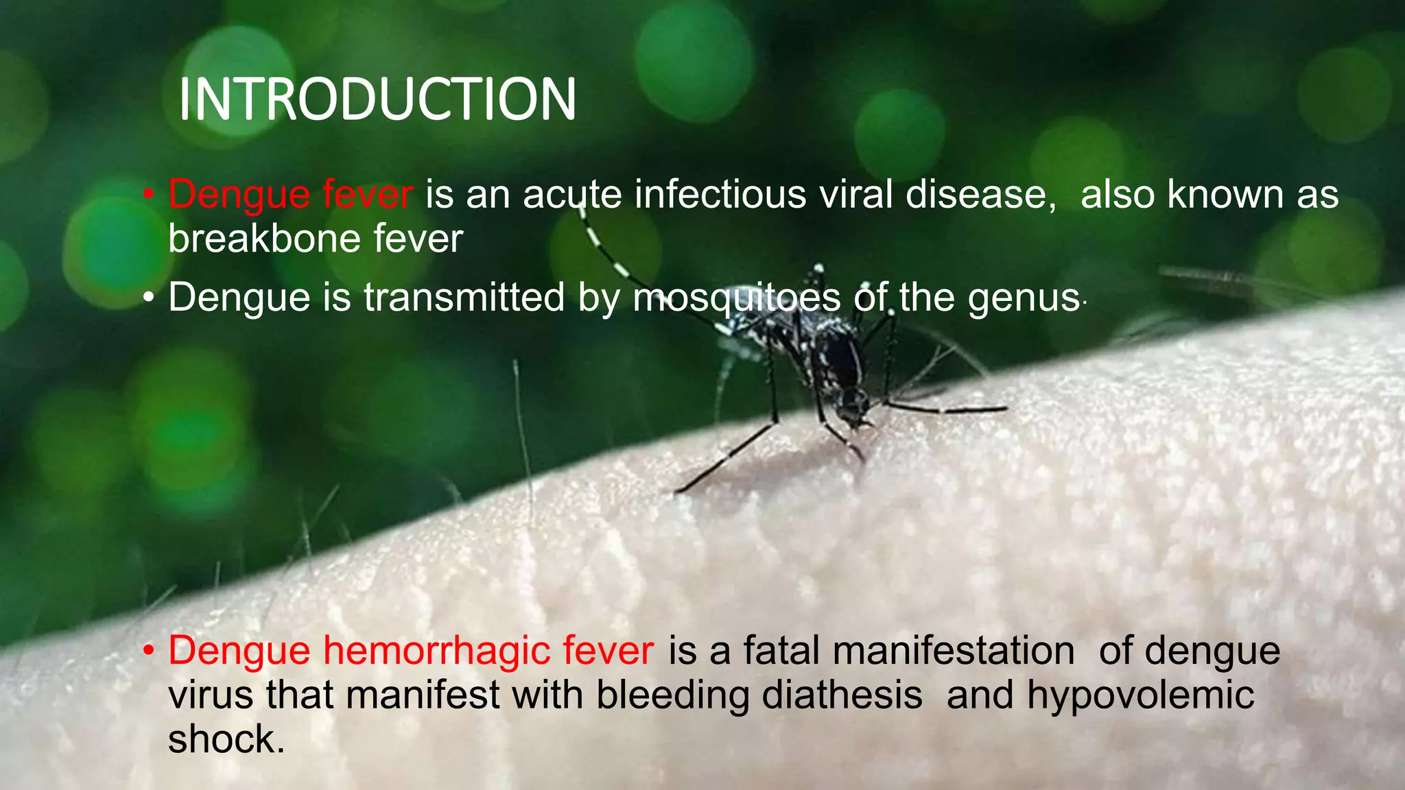 Dengue, dengue hemorrhagic fever, dengue shock syndrome | PPTX