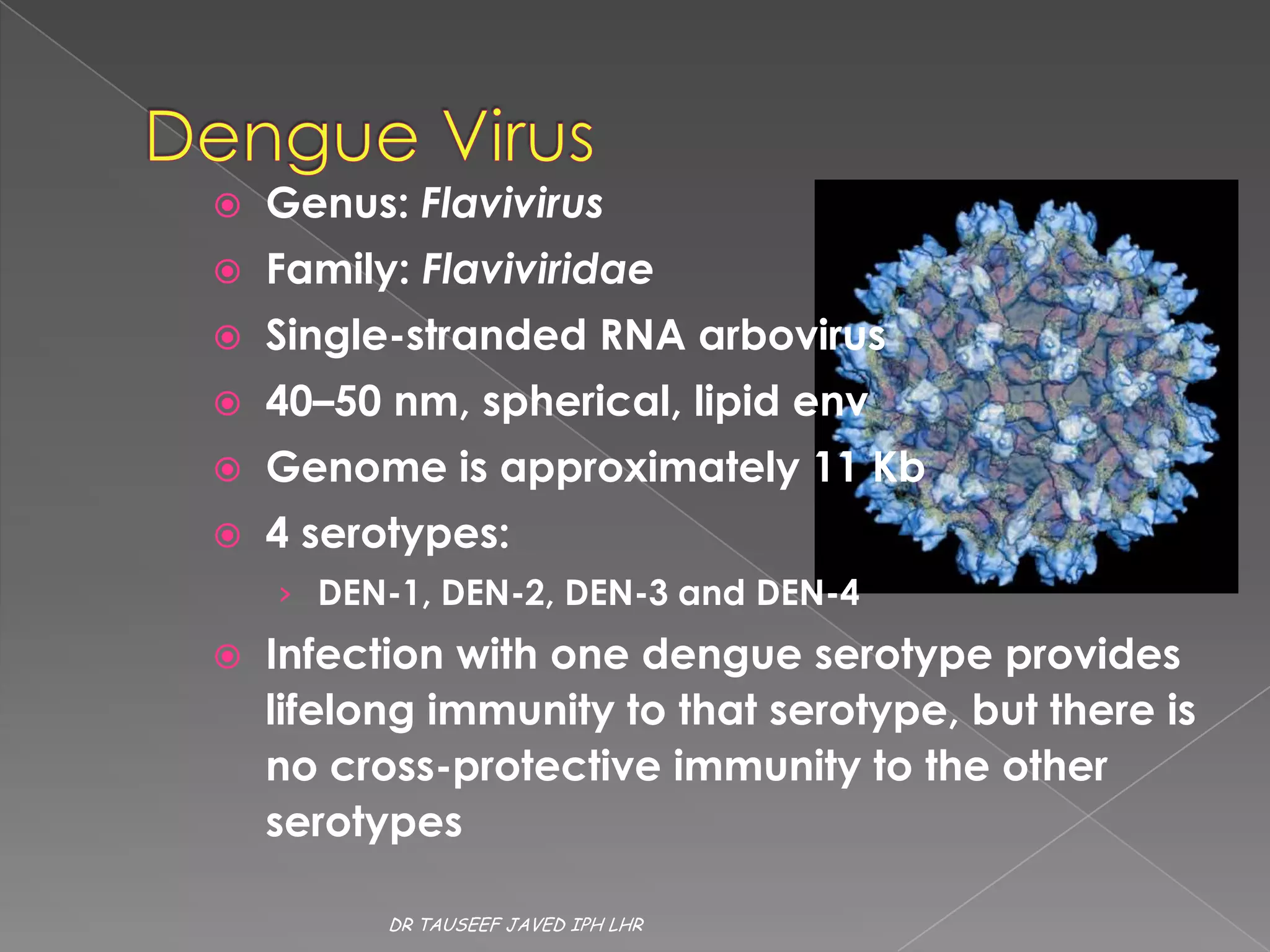 Dengue(DF+DHF) by tauseef | PPSX