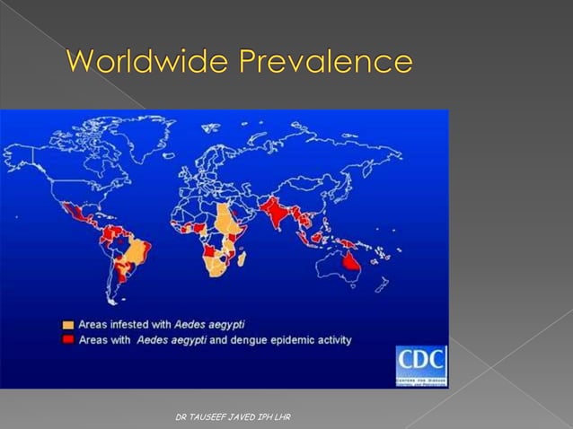 Dengue(DF+DHF) by tauseef | PPT