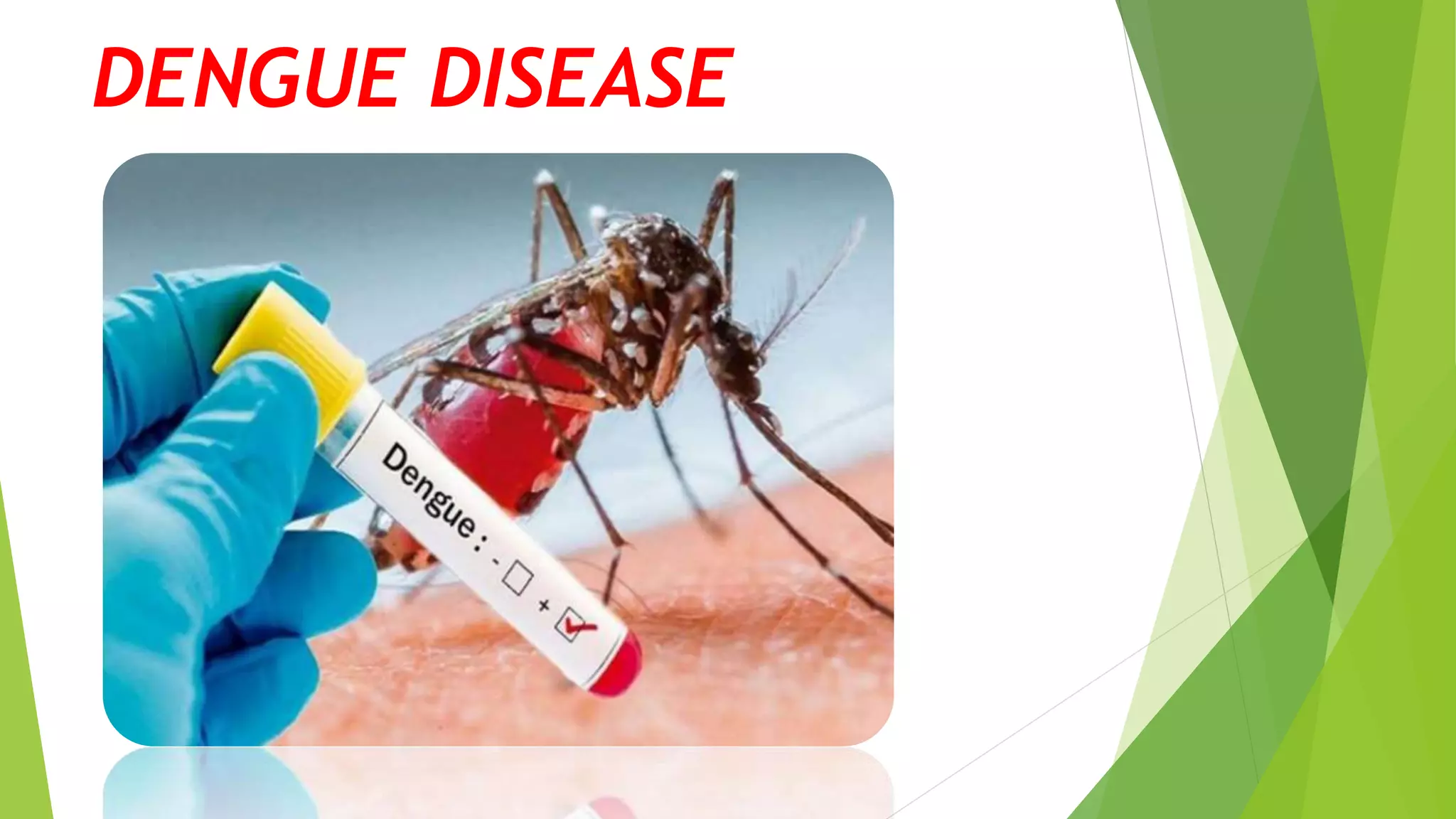 Dengue disease ppt | PPTX | Infectious Diseases | Diseases and Conditions