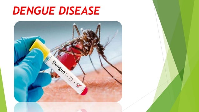 Dengue disease ppt | PPT