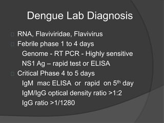 Dengue dos and donts | PPTX | First Aid | Injuries