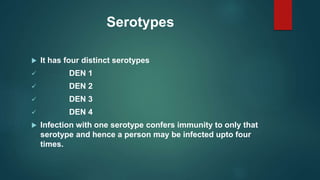 DENGUE | PPTX | Infectious Diseases | Diseases and Conditions
