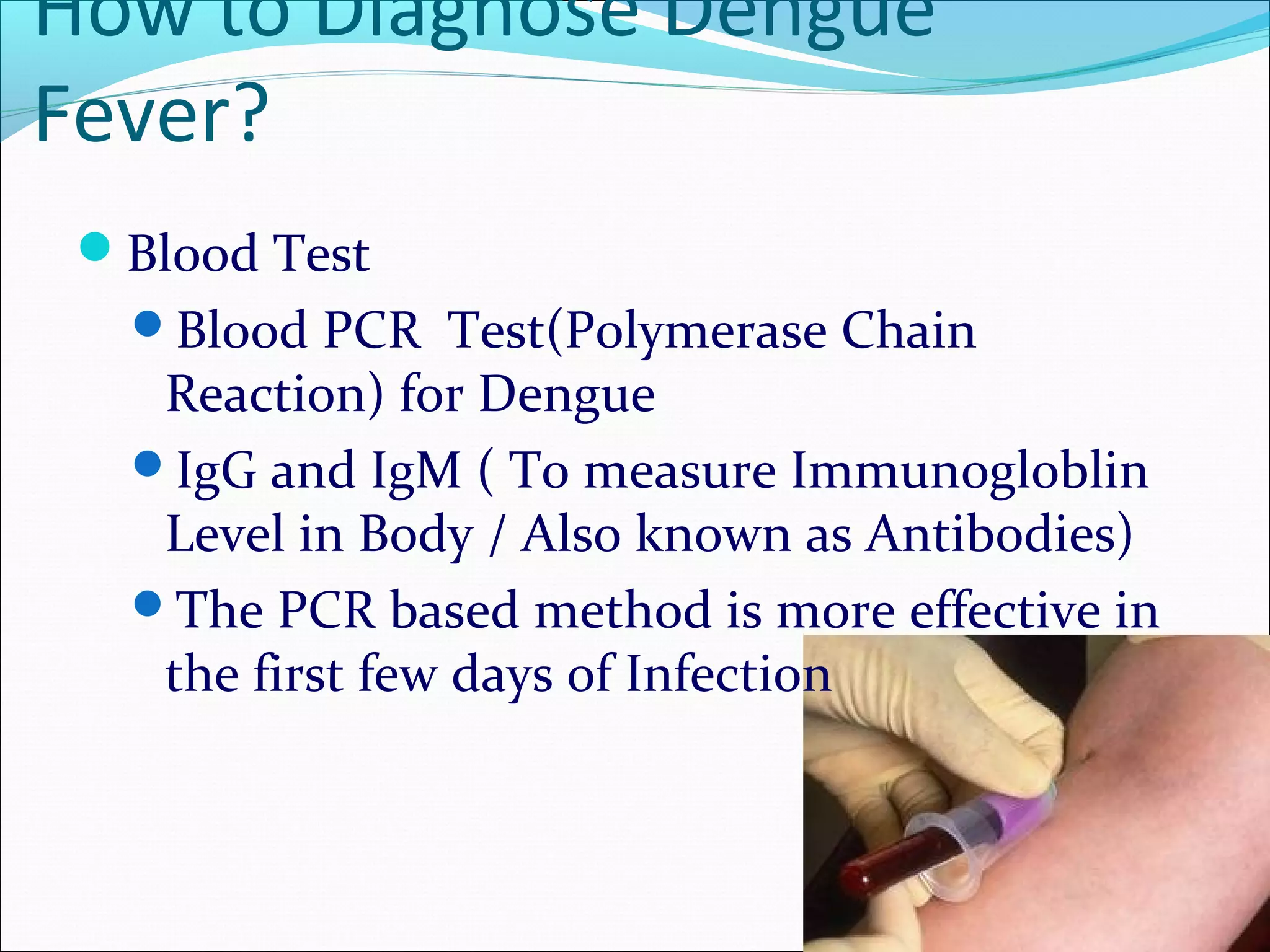 Dengue Fever | PPT