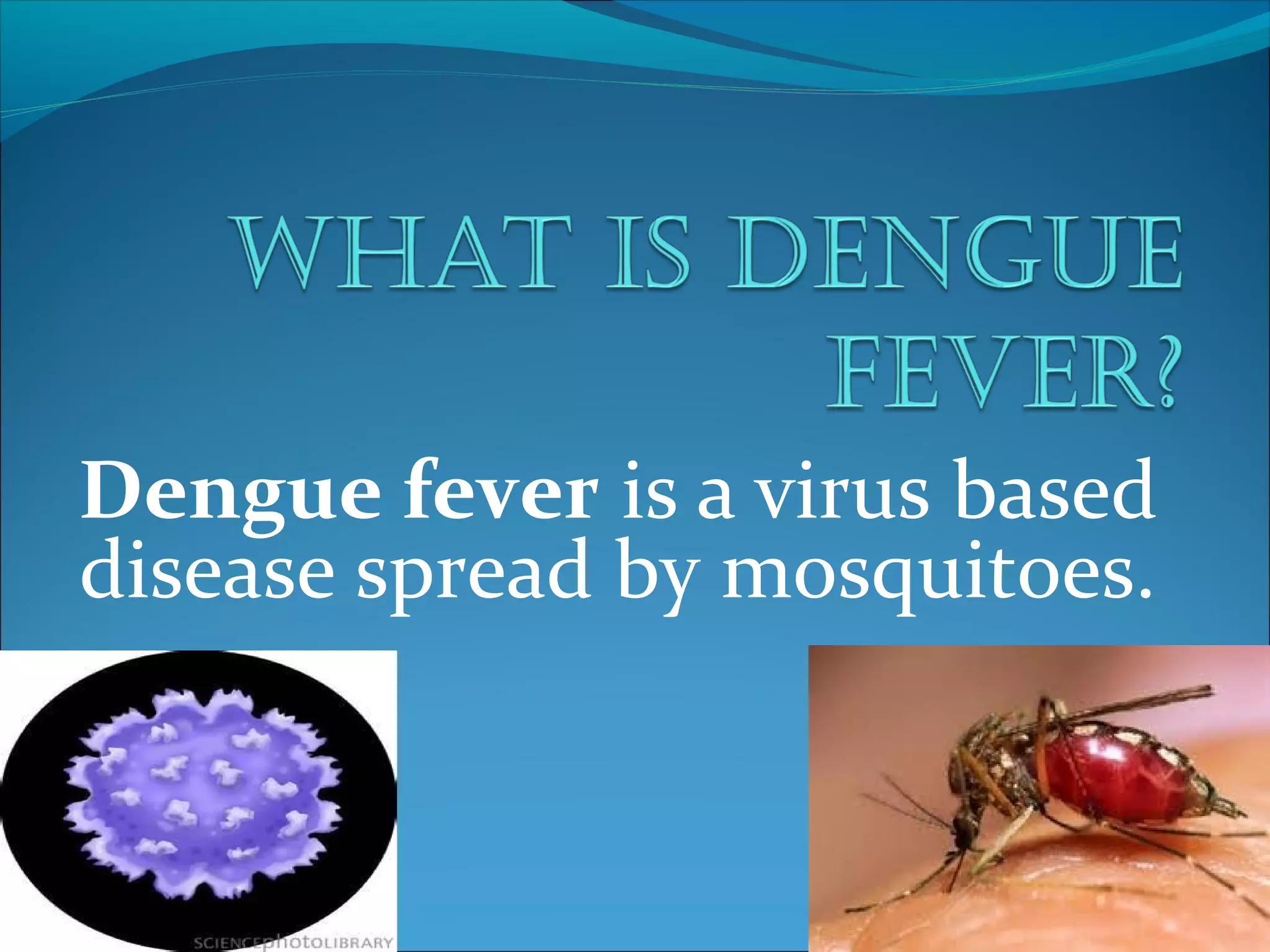 Dengue Fever | PPT | Infectious Diseases | Diseases and Conditions