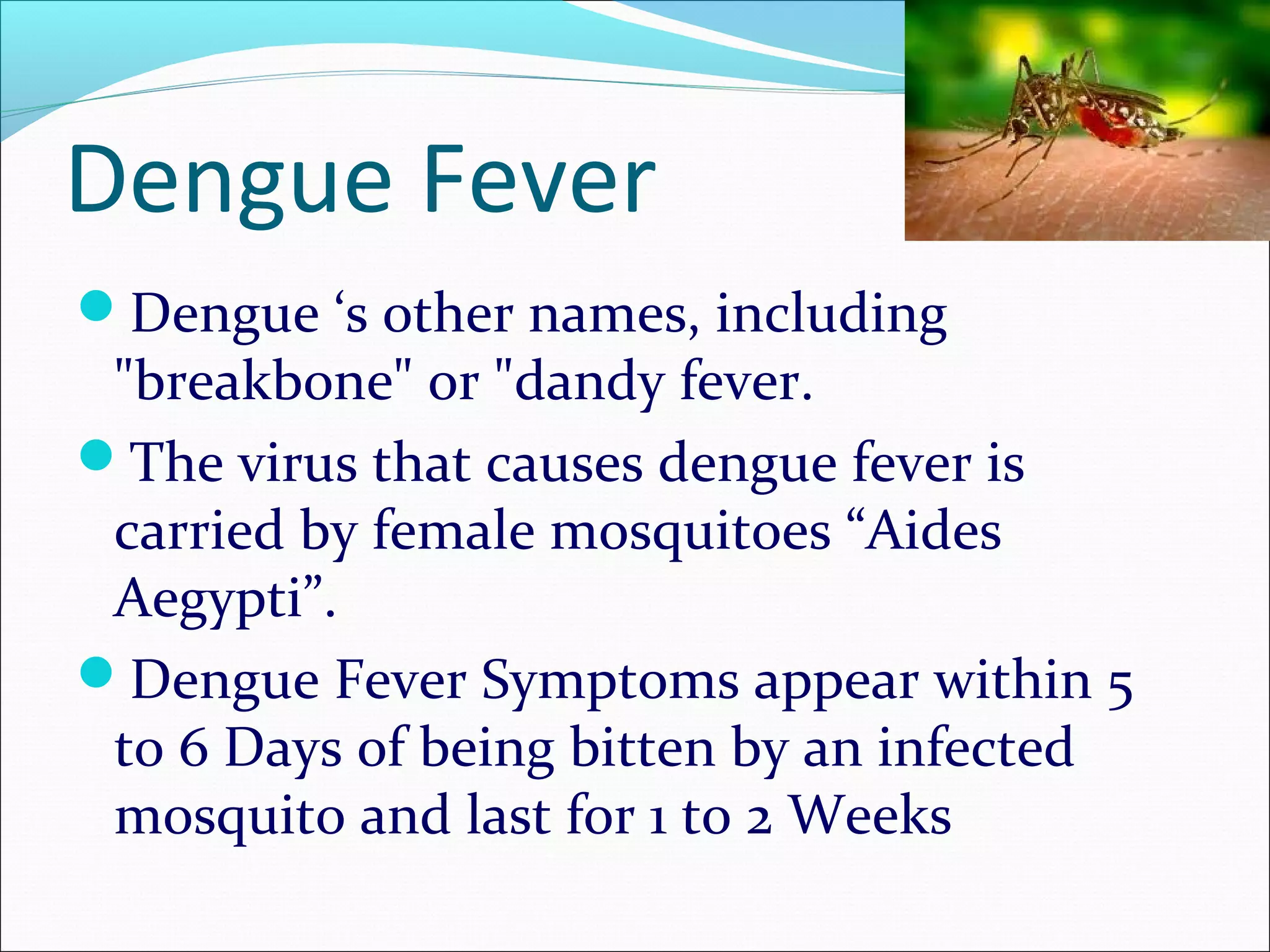 Dengue Fever | PPT
