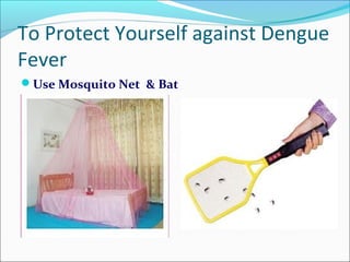 Dengue Fever | PPT