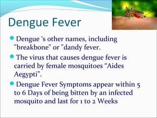 Dengue Fever | PPT | Infectious Diseases | Diseases and Conditions