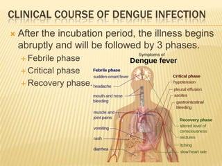 Dengue fever | PPTX | Infectious Diseases | Diseases and Conditions