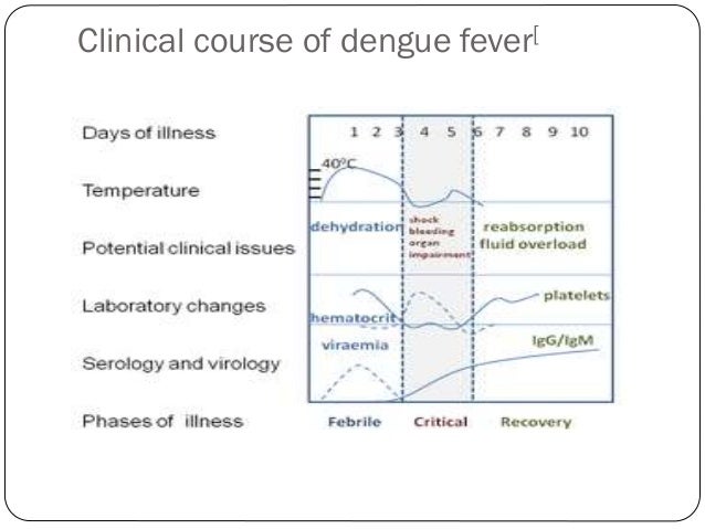 Dengue fever