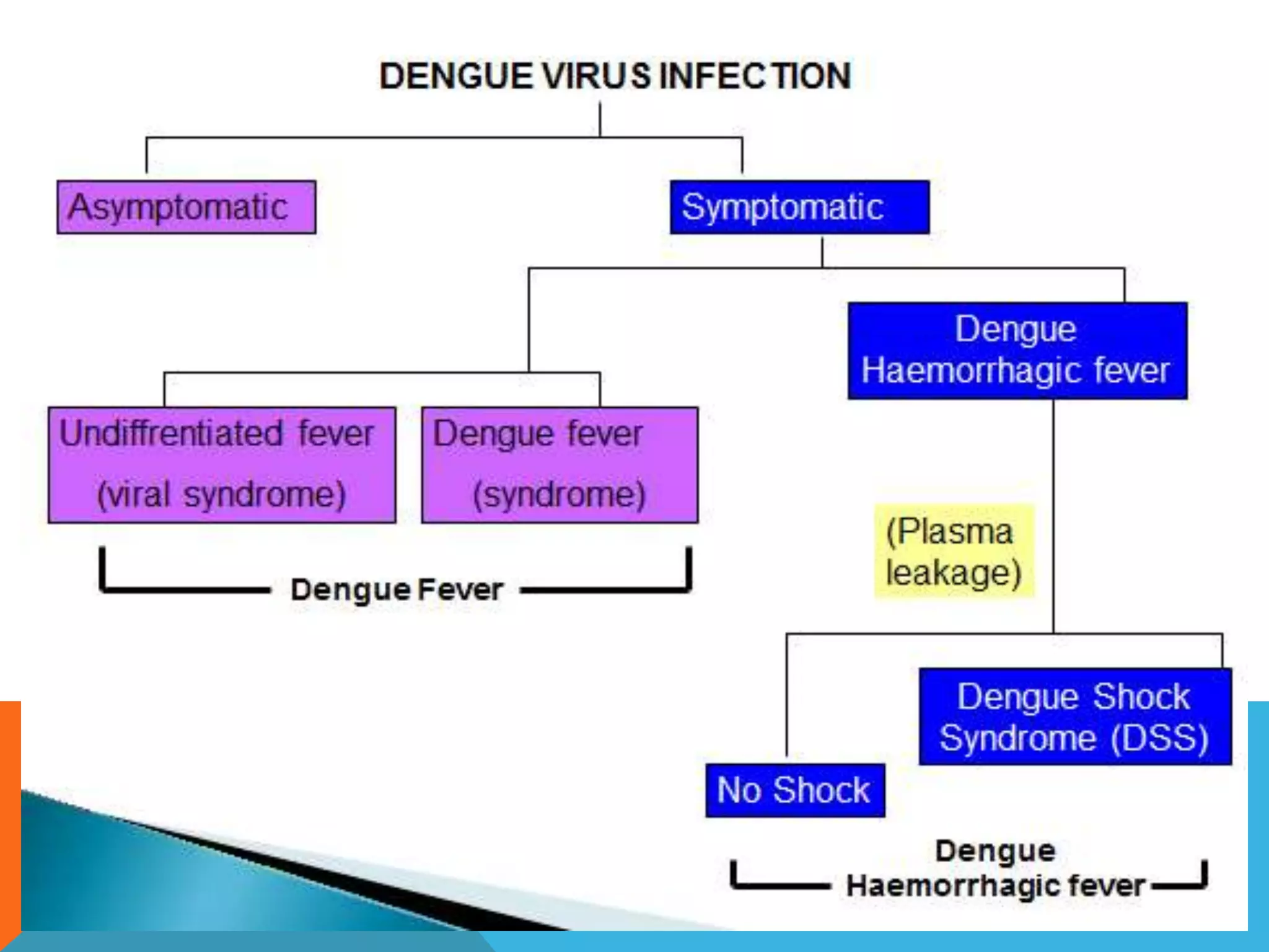 Dengue fever presentation | PPTX