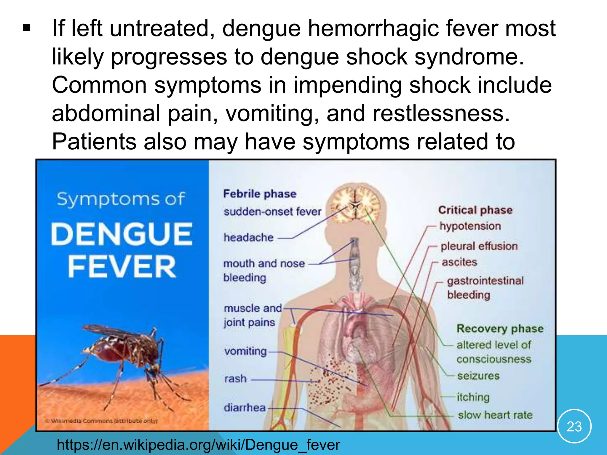 Dengue fever presentation | PPTX