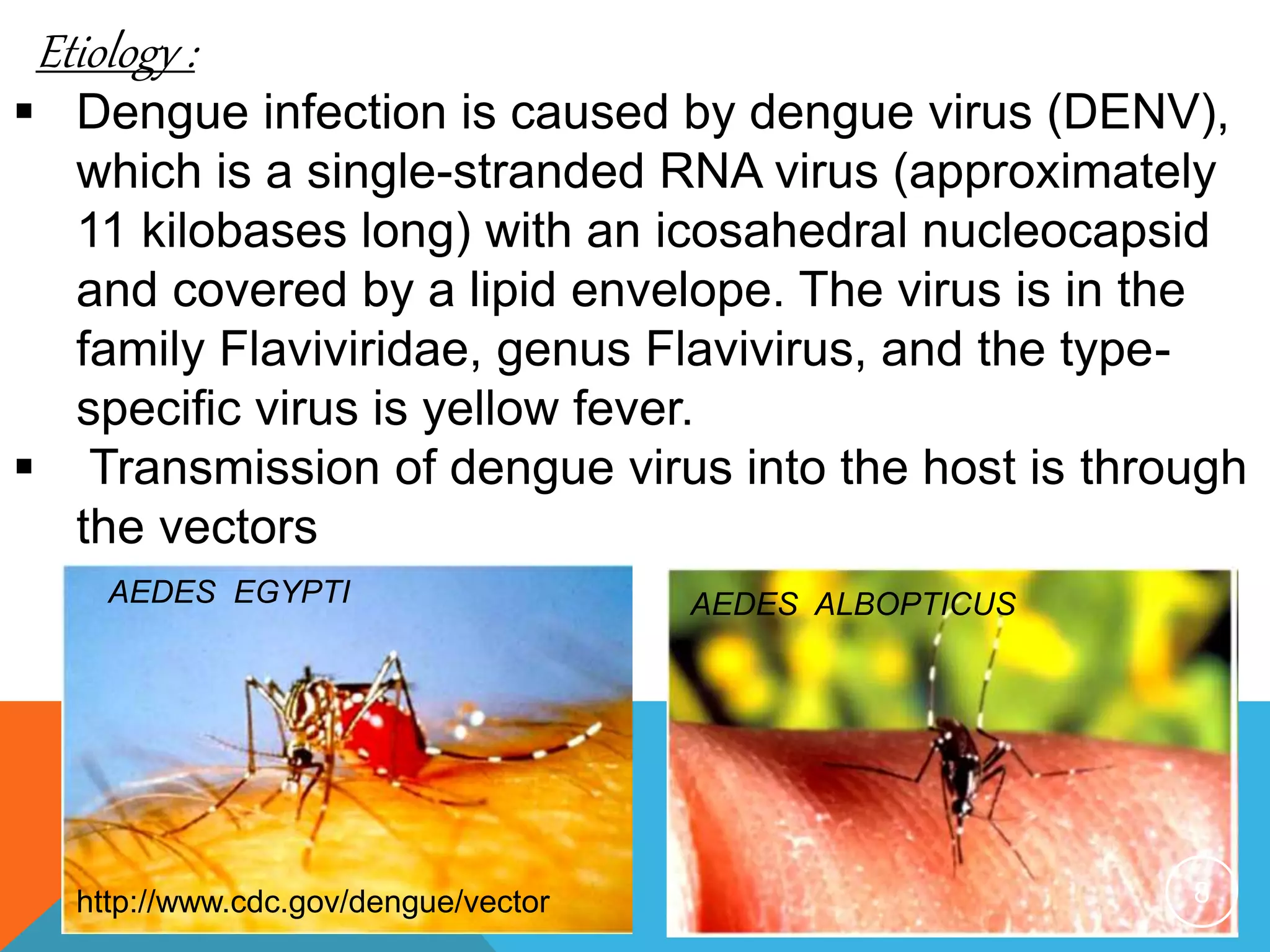 Dengue fever presentation | PPTX