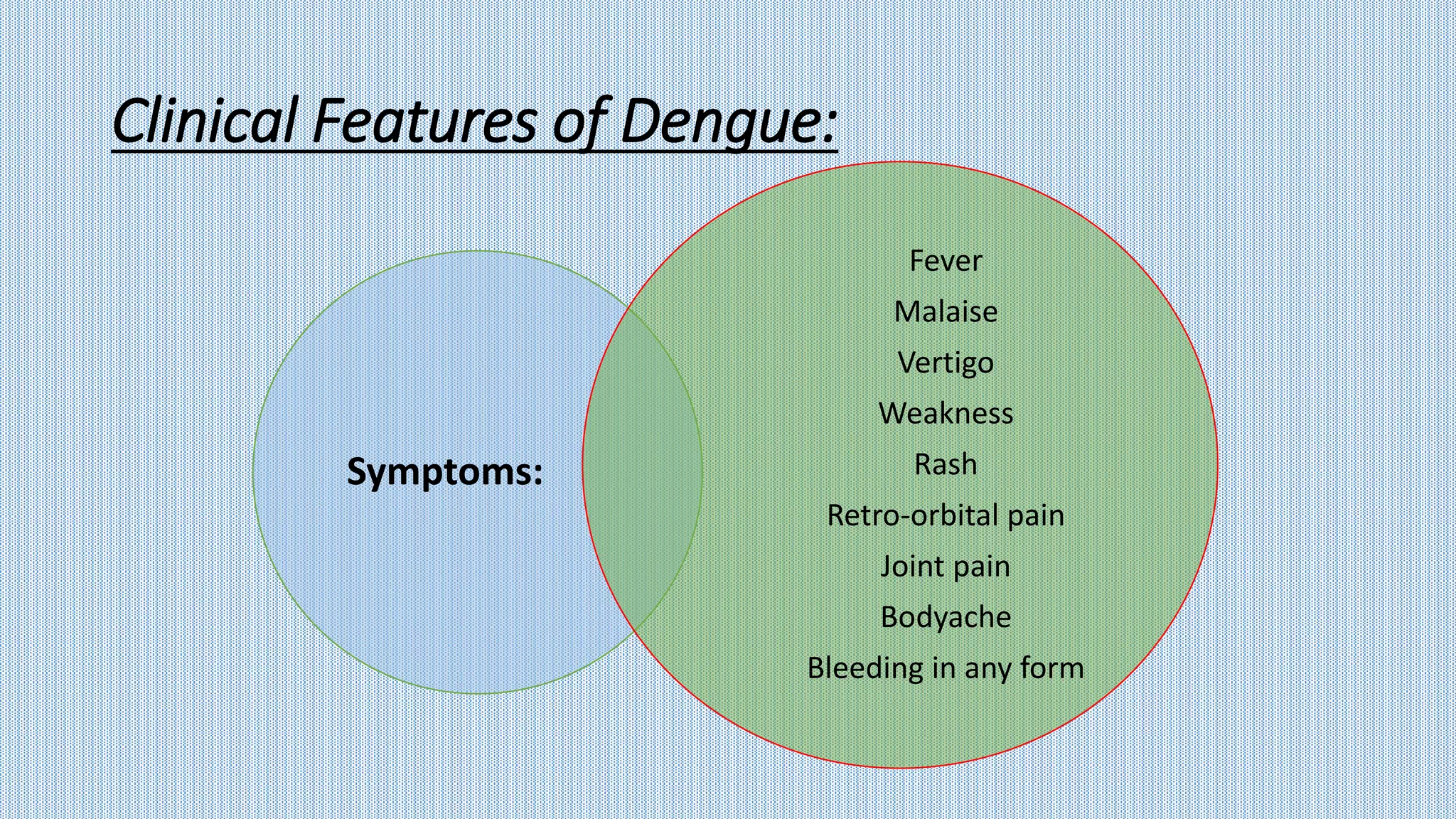 Dengue Fever | PPTX